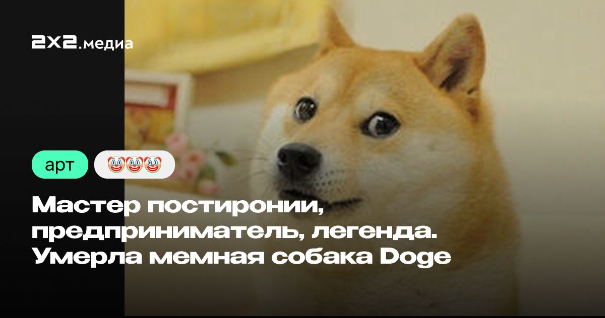 Мастер постиронии, предприниматель, легенда. Умерла мемная собака Doge ...